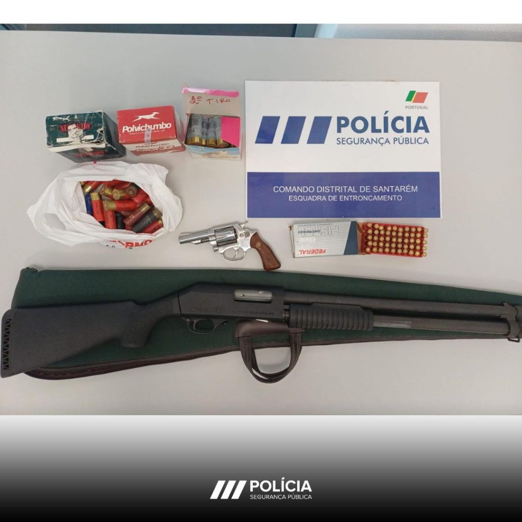 PSP detém suspeito de violência doméstica e apreende armas - Jornal O ...